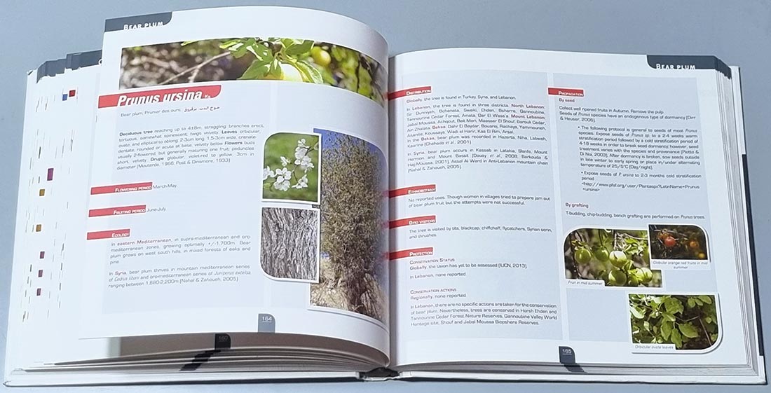 Book Native Trees of Lebanon Neighboring Countries - Guidebook
