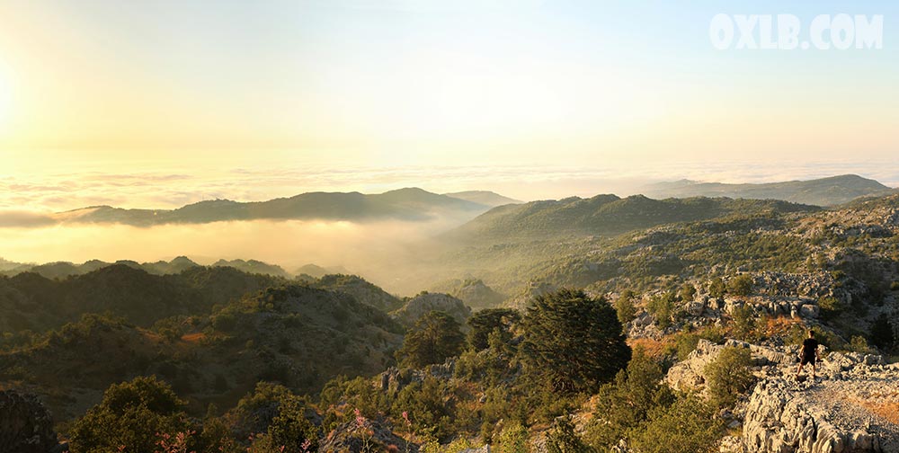 Poster print showing a sunset view and twilight from Jaj cedar reserve